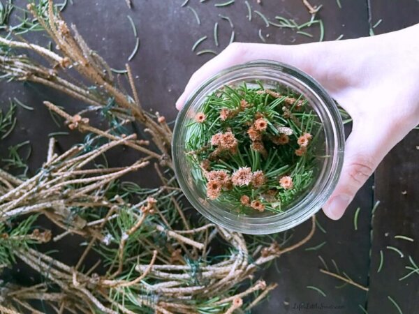 DIY Pine Mason Jars - Dried Pine & Mason Jars - Life's Little Sweets