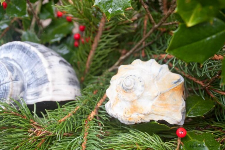 Seashell Winter Planters (Decor w/ Pine, Holly & Seashells) - Life's ...