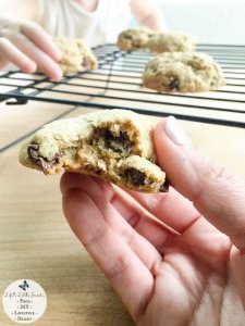 Chocolate Chip Oatmeal Raisin Cookies with Go & Grow by Similac® Food ...