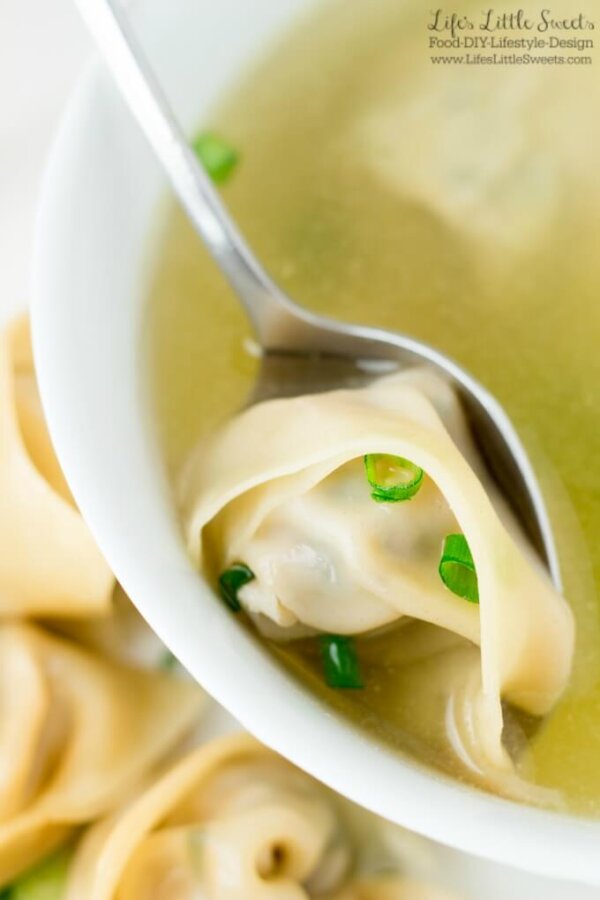 Beef Potsticker Wonton Dumplings- Steamed or Fried - Life's Little Sweets