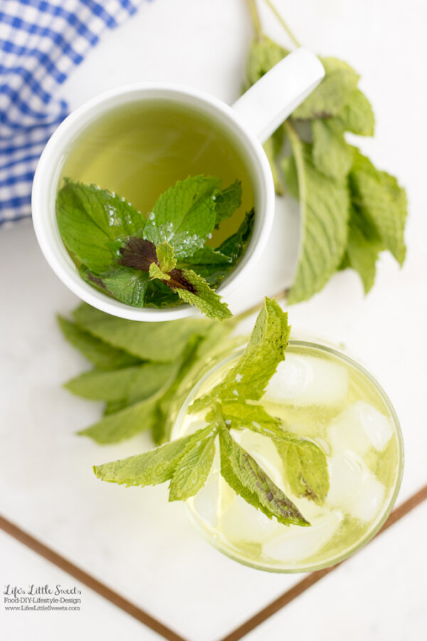 Fresh Mint Tea - Life's Little Sweets