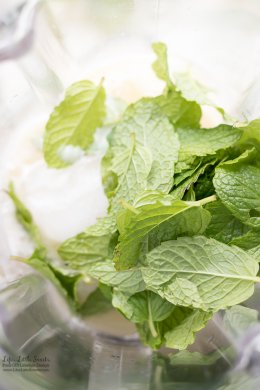 Lemon Mint Frappe (Ice, Fresh Mint, Torani) - Life's Little Sweets