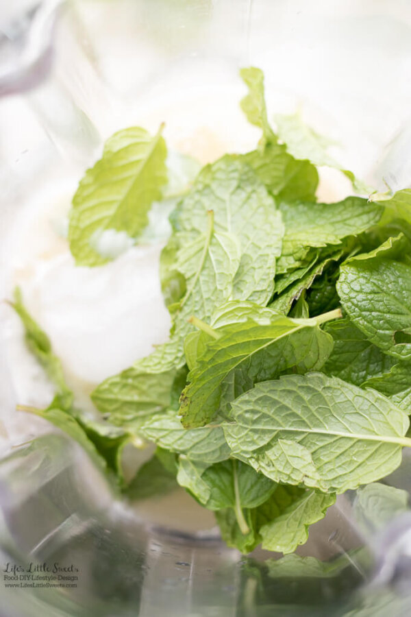Lemon Mint Frappe (Ice, Fresh Mint, Torani) - Life's Little Sweets