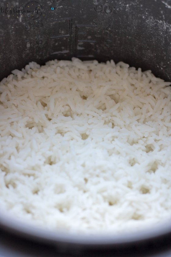 How to Make Rice in a Rice Cooker (Aroma Housewares Instructions ...