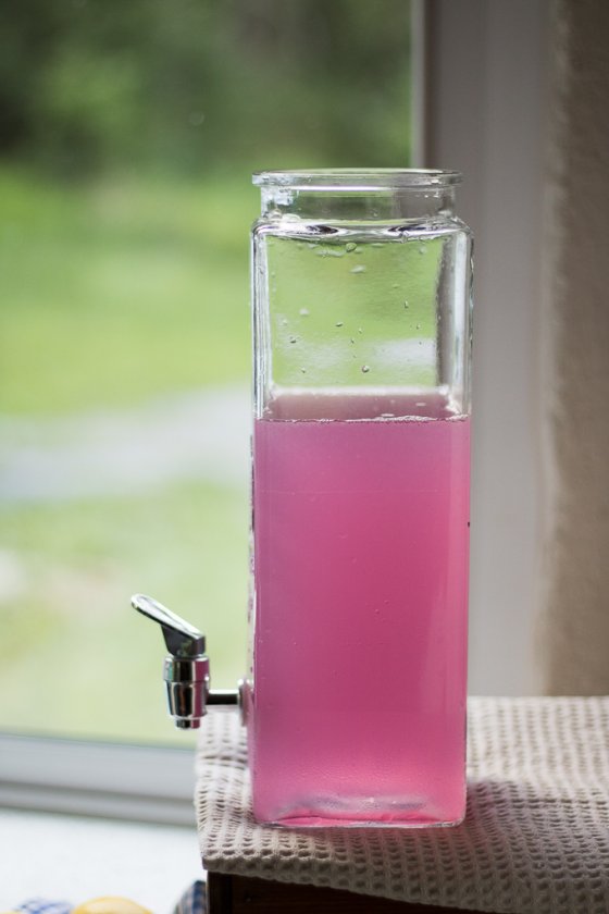 Blue Butterfly Pea Flower Lemonade - Life's Little Sweets