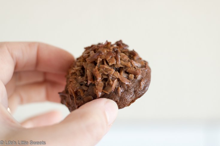Mocha Coconut Macaroons (Espresso powder, Cocoa Powder, Coconut) - Life ...