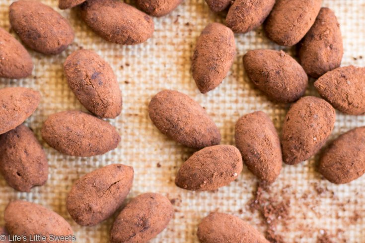 Cocoa Almonds (Maple Syrup, Cocoa Powder, Kosher Salt, Almonds) - Life ...