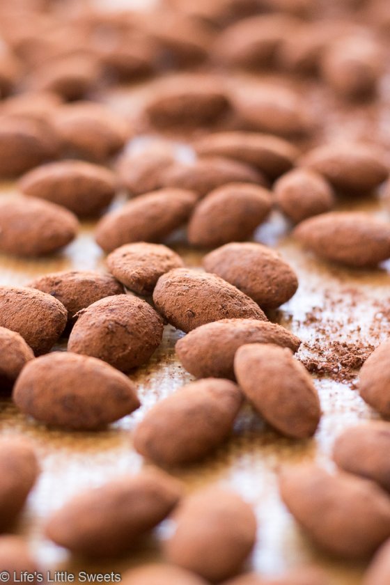 Cocoa Almonds (Maple Syrup, Cocoa Powder, Kosher Salt, Almonds) - Life ...