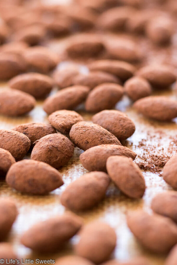 Cocoa Almonds (Maple Syrup, Cocoa Powder, Kosher Salt, Almonds) - Life ...