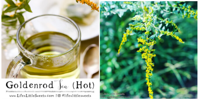 Goldenrod Tea Recipe (How to Make) - Life's Little Sweets