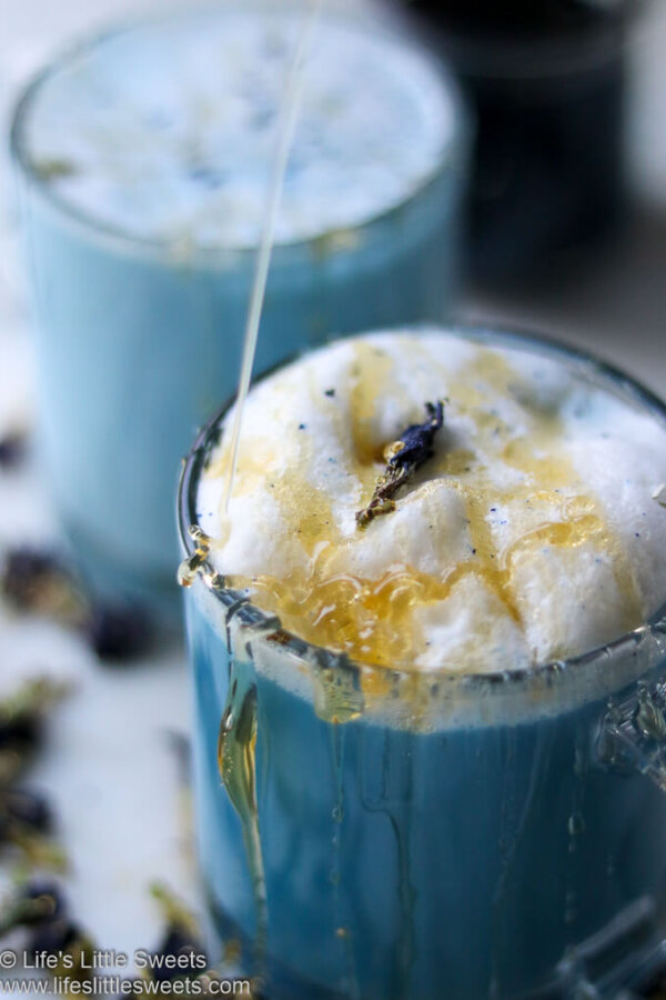 Blue Butterfly Pea Flower Recipe Collection (Drinks) - Life's Little Sweets