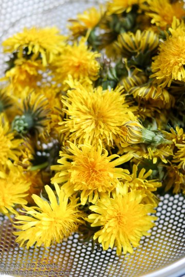 Dandelion Fritters - Life's Little Sweets