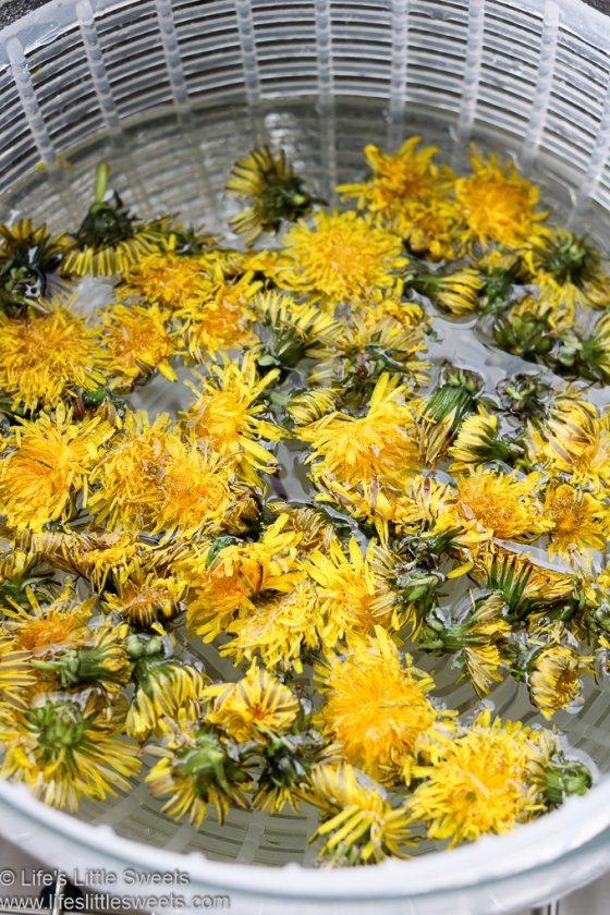 Dandelion Fritters - Life's Little Sweets