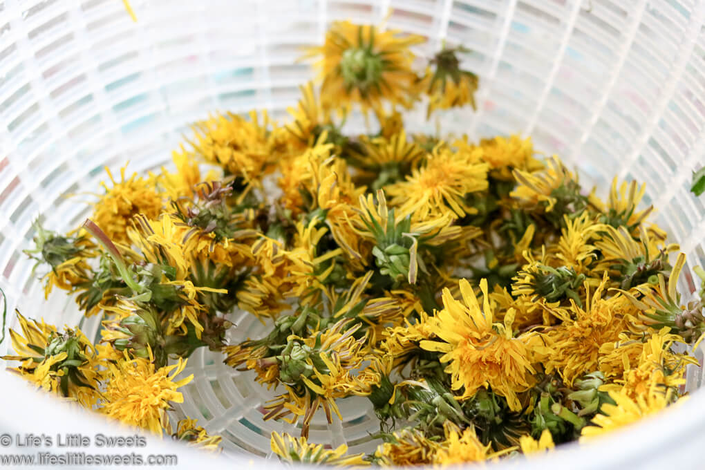 Dandelion Fritters - Life's Little Sweets