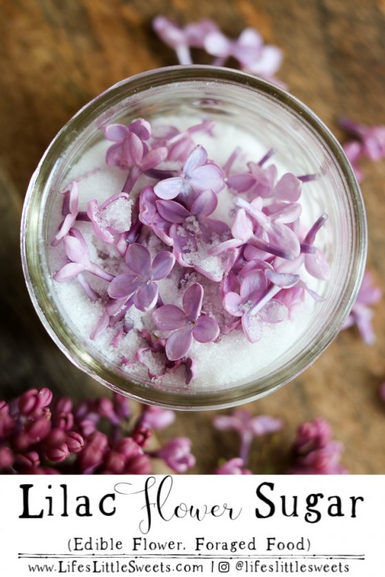 Lilac Flower Sugar (Edible Flowers, Lilac Blossoms, Sugar, 2-Ingredient ...