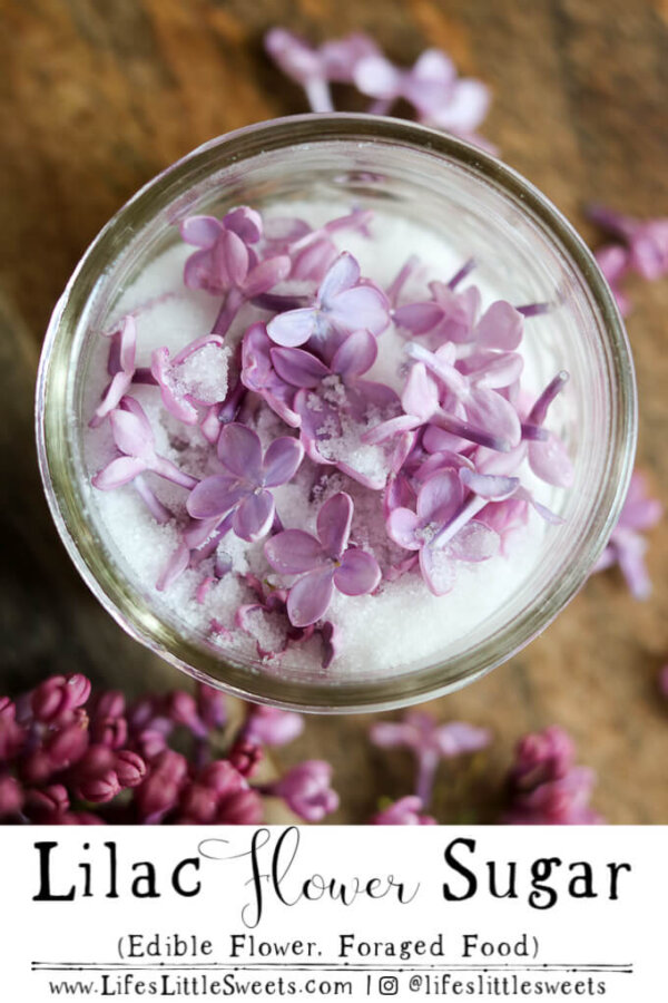 Lilac Flower Sugar (Edible Flowers, Lilac Blossoms, Sugar, 2-Ingredient ...