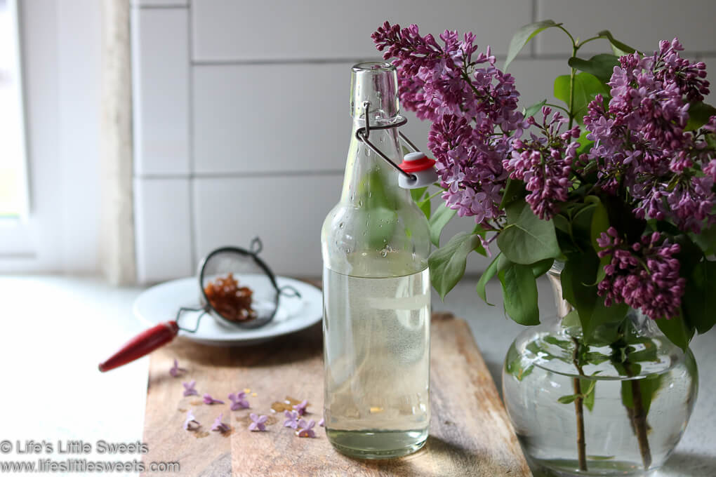 Lilac Flower Simple Syrup (Floral, Blossoms, Foraged, Spring, April ...