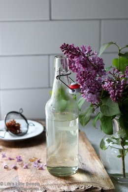 Lilac Flower Simple Syrup (Floral, Blossoms, Foraged, Spring, April ...