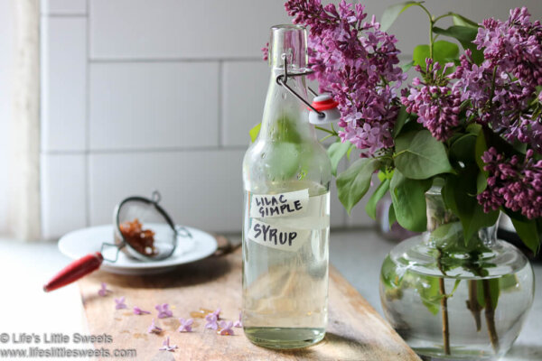 Lilac Flower Simple Syrup (Floral, Blossoms, Foraged, Spring, April ...