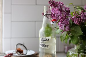 Lilac Flower Simple Syrup (Floral, Blossoms, Foraged, Spring, April ...