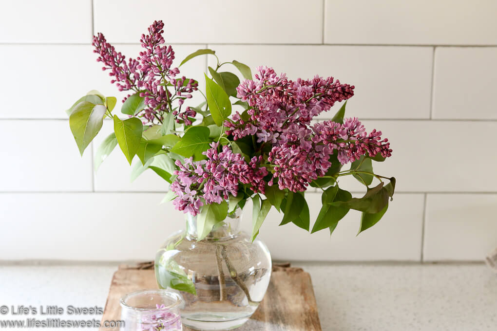 Lilac Recipes Collection (Edible, Foraged, Flowers) - Life's Little Sweets