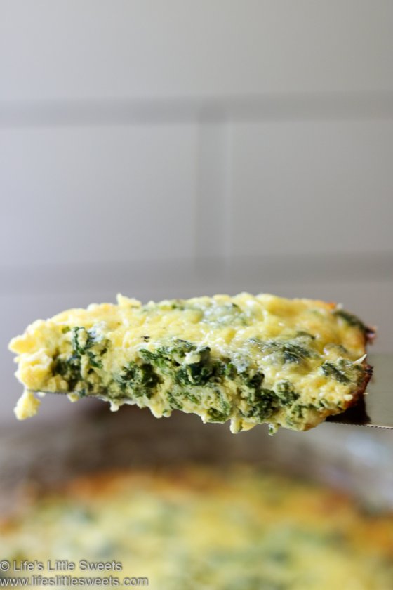 Stinging Nettle Crustless Quiche (Foraged, Wild Food, Forage) - Life's ...