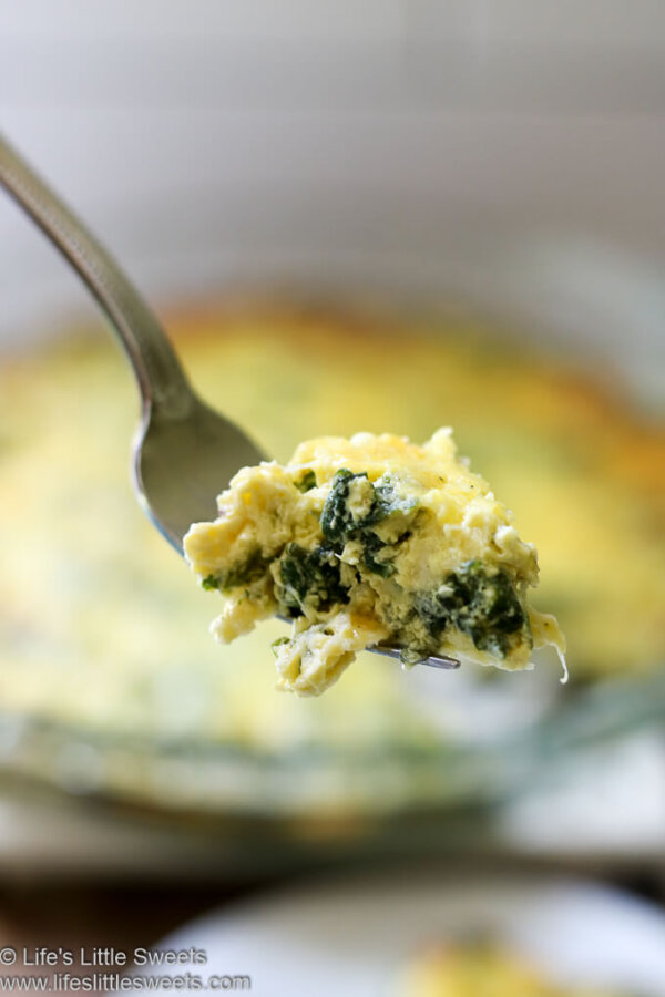 Stinging Nettle Crustless Quiche (Foraged, Wild Food, Forage) - Life's ...