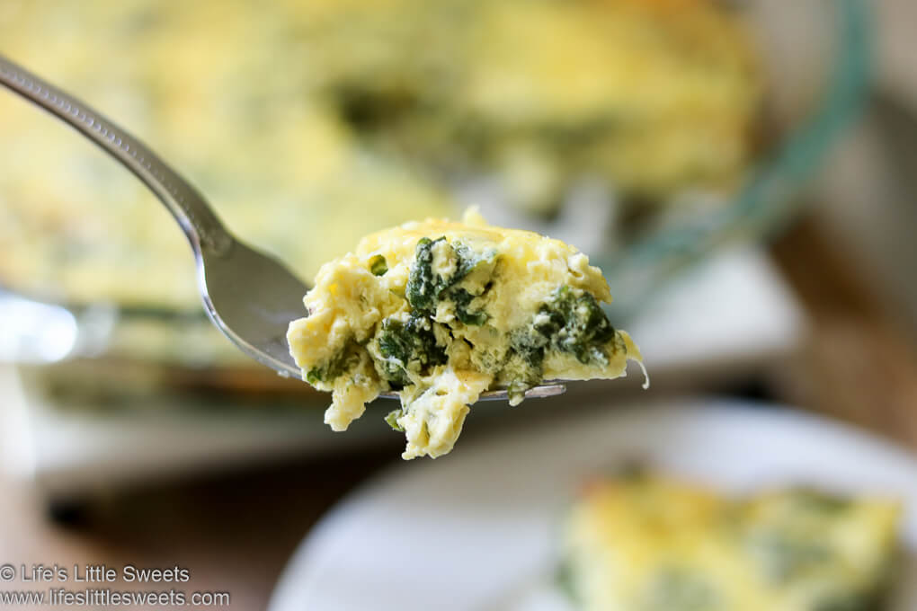 Stinging Nettle Crustless Quiche (Foraged, Wild Food, Forage) - Life's ...