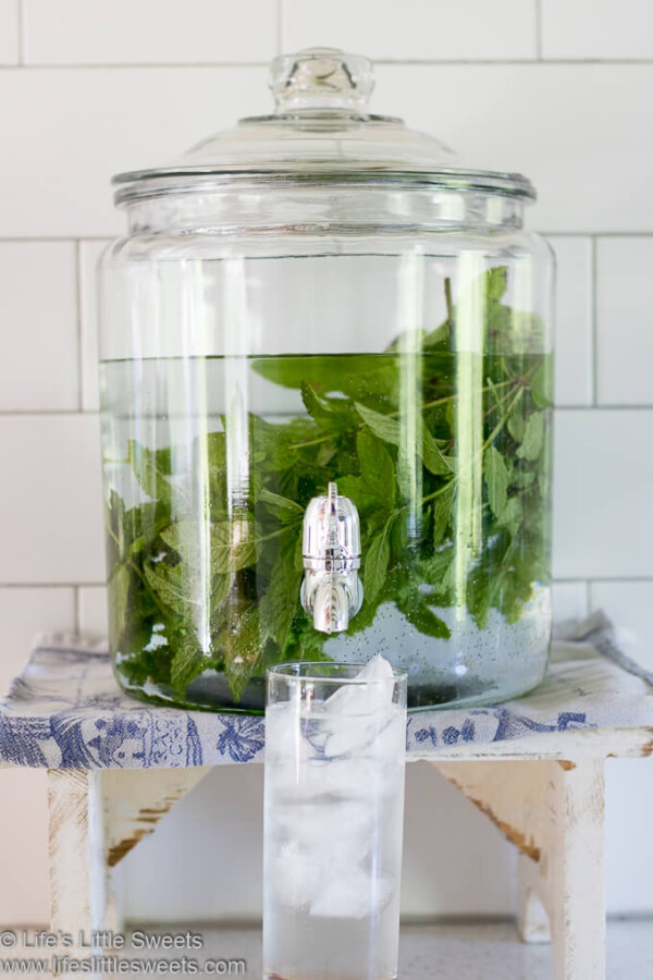 Mint Water (Spa Water, Summer Water, Drink, Easy) - Life's Little Sweets