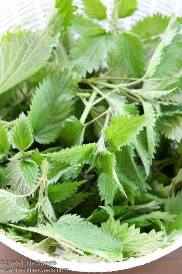 Sautéed Stinging Nettles (Foraged, Vegetarian) - Life's Little Sweets
