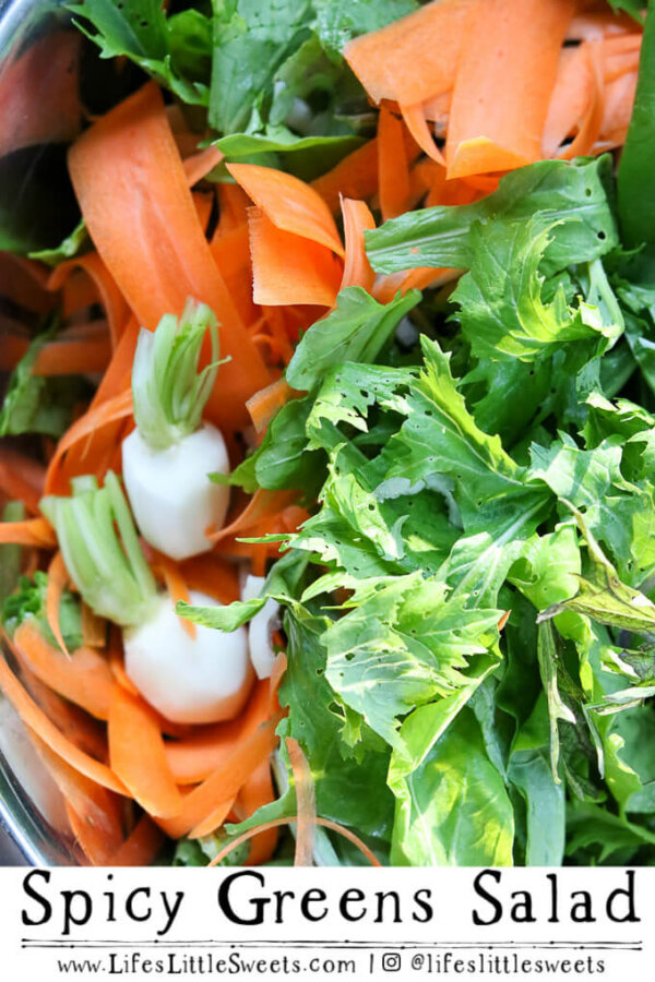 Spicy Greens Salad (Spicy Greens, Carrots, Turnips, Onions, Arugula ...