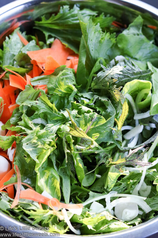 Spicy Greens Salad (Spicy Greens, Carrots, Turnips, Onions, Arugula ...