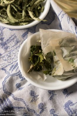 Lemon Verbena Tea (Relaxing, Digestive Tea, Hot or Iced) - Life's ...