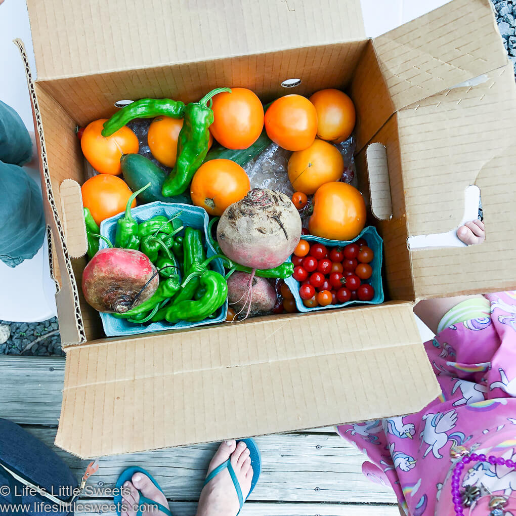 Organic CSA Share Box Week 6 - Life's Little Sweets