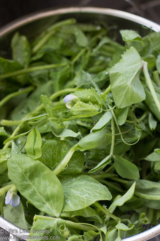 Sautéed Pea Shoots (Stir-Fried, Pea Greens, Recipe) - Life's Little Sweets