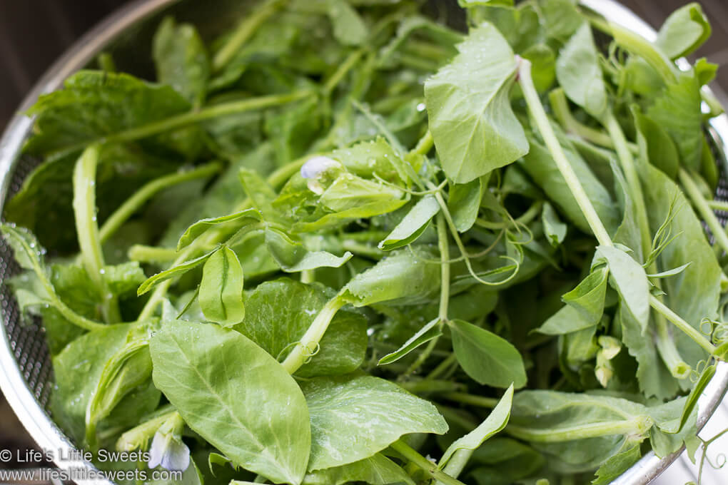 Sautéed Pea Shoots (Stir-Fried, Pea Greens, Recipe) - Life's Little Sweets
