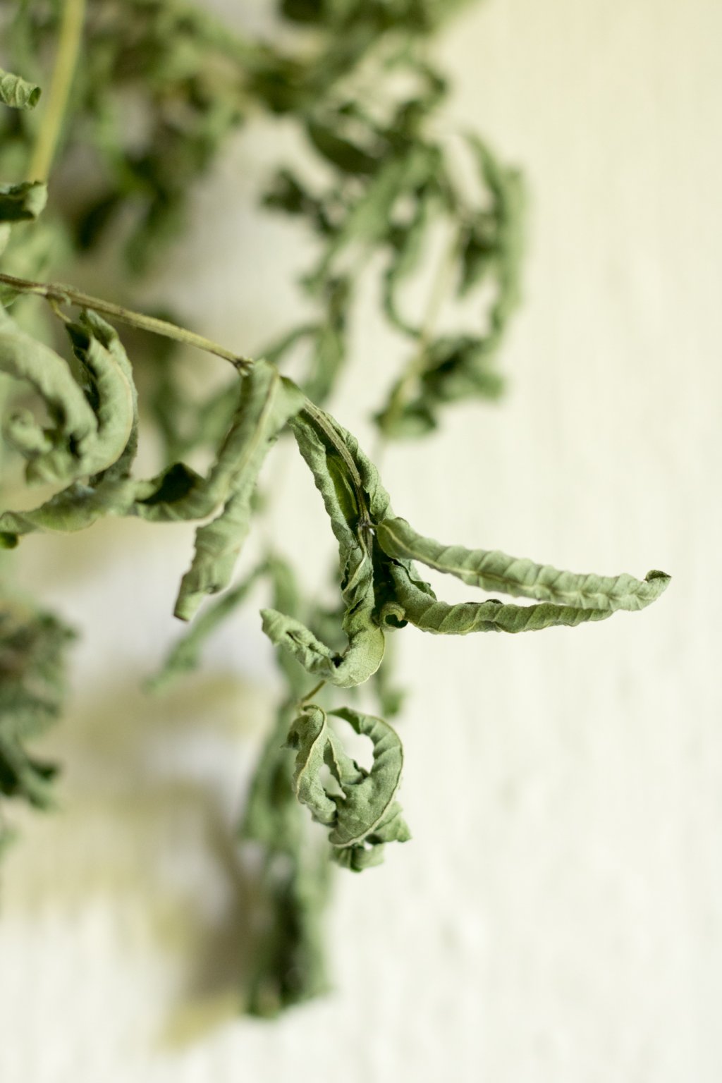 How to Dry Herbs (4 Methods!) - Life's Little Sweets