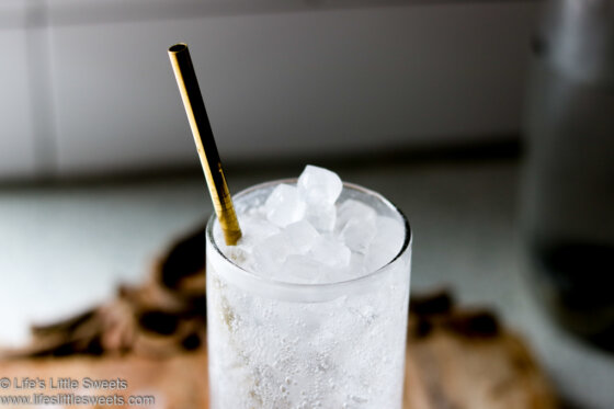How to Make Seltzer Water with SodaStream - Life's Little Sweets
