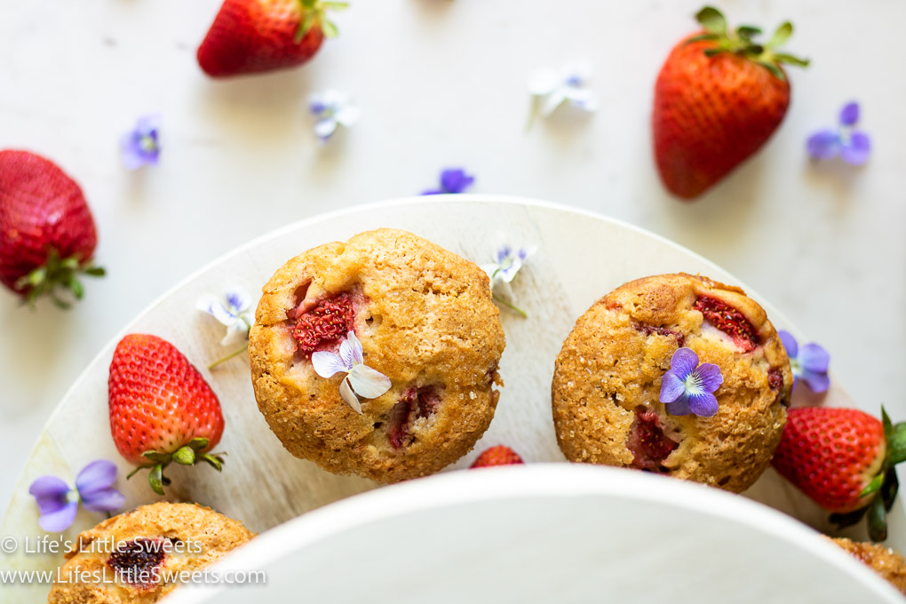 Strawberry Recipes Collection (Strawberries) - Life's Little Sweets