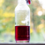 Dragon Fruit Simple Syrup - Life's Little Sweets