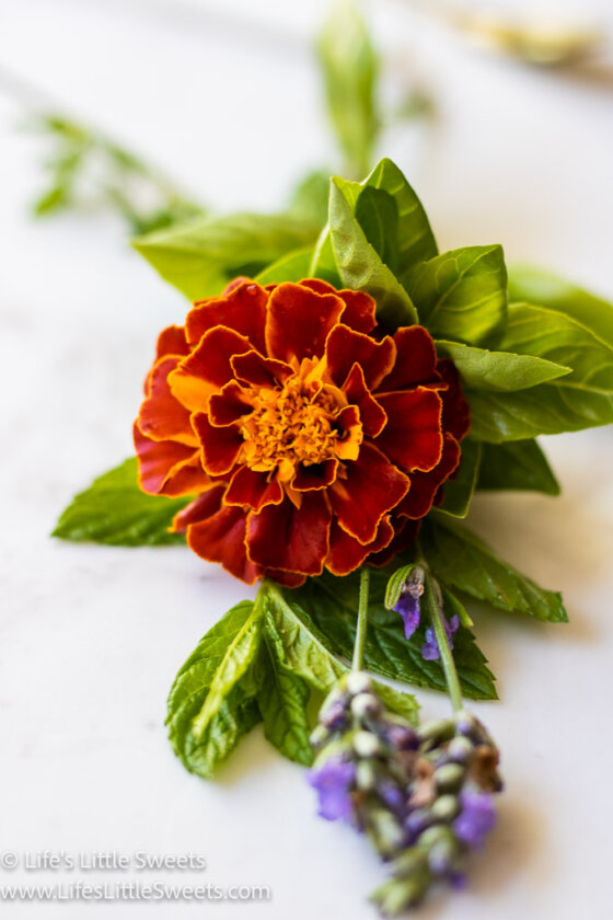 Cold Brew Iced Tea - Life's Little Sweets