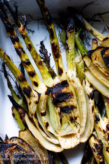 Grilled Fennel - Life's Little Sweets