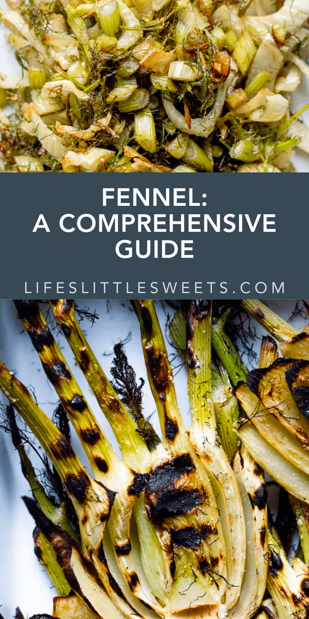 Fennel: A Comprehensive Guide - Life's Little Sweets